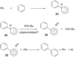 Organocatalytic C–H activation reactions