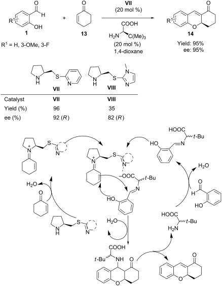 Organocatalytic tandem Michael addition reactions: A powerful access to ...