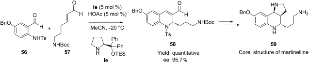 Organocatalytic tandem Michael addition reactions: A powerful access to ...