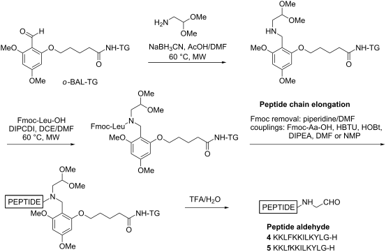 Multivalent display of the antimicrobial peptides BP100 and BP143