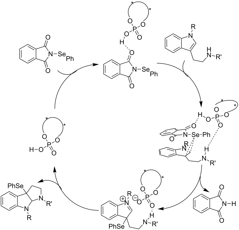Organocatalytic asymmetric selenofunctionalization of tryptamine for ...