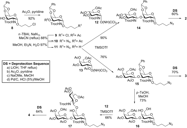 Synthesis of mucin-type O-glycan probes as aminopropyl glycosides