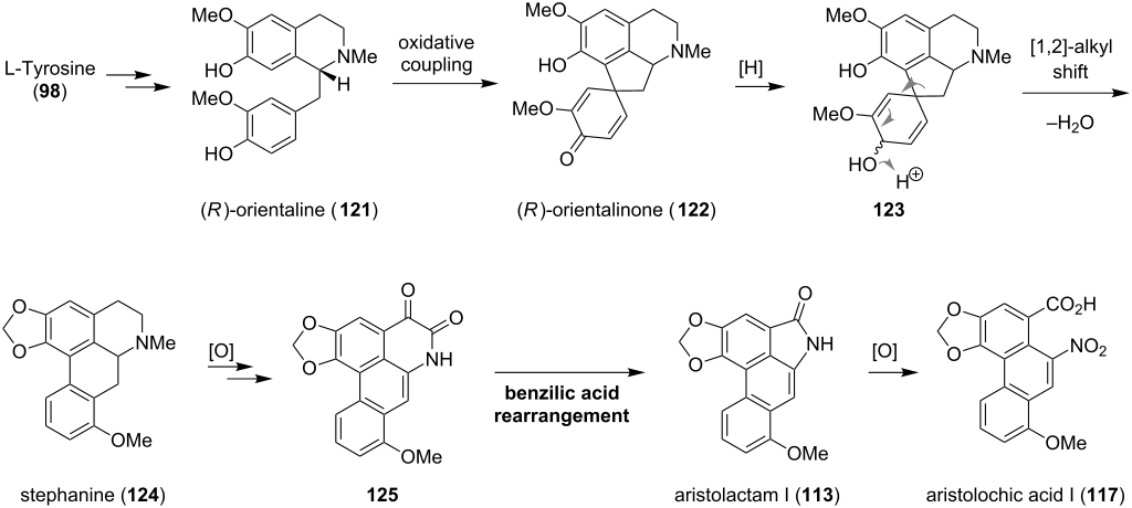 The chemistry of isoindole natural products