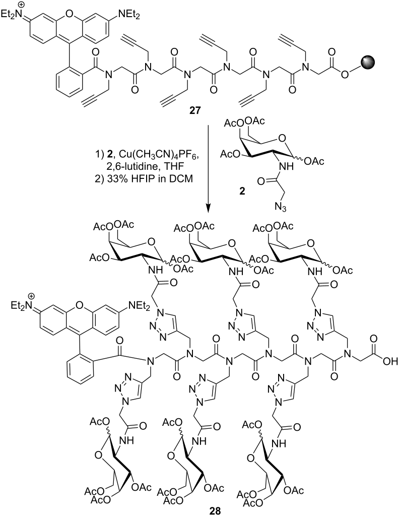 Peptoids and polyamines going sweet: Modular synthesis of glycosylated ...