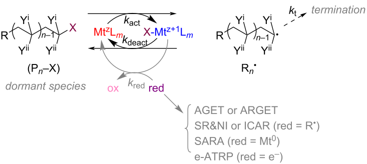 Radical chemistry in polymer science: an overview and recent advances