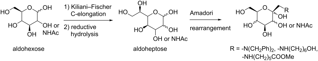 The Amadori rearrangement as glycoconjugation method: Synthesis of non ...