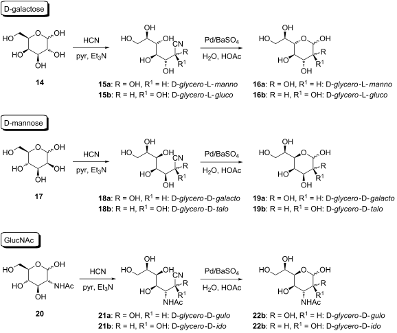 The Amadori rearrangement as glycoconjugation method: Synthesis of non ...