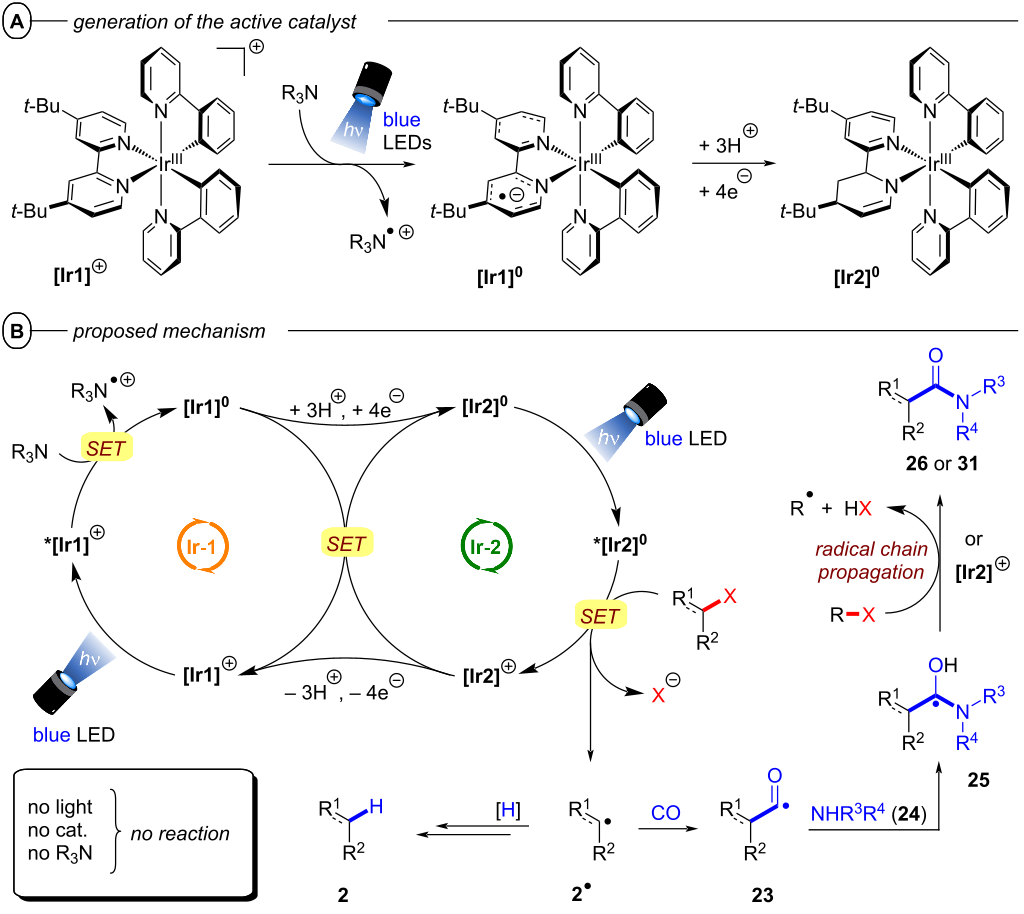 Photoredox catalysis harvesting multiple photon or electrochemical energies